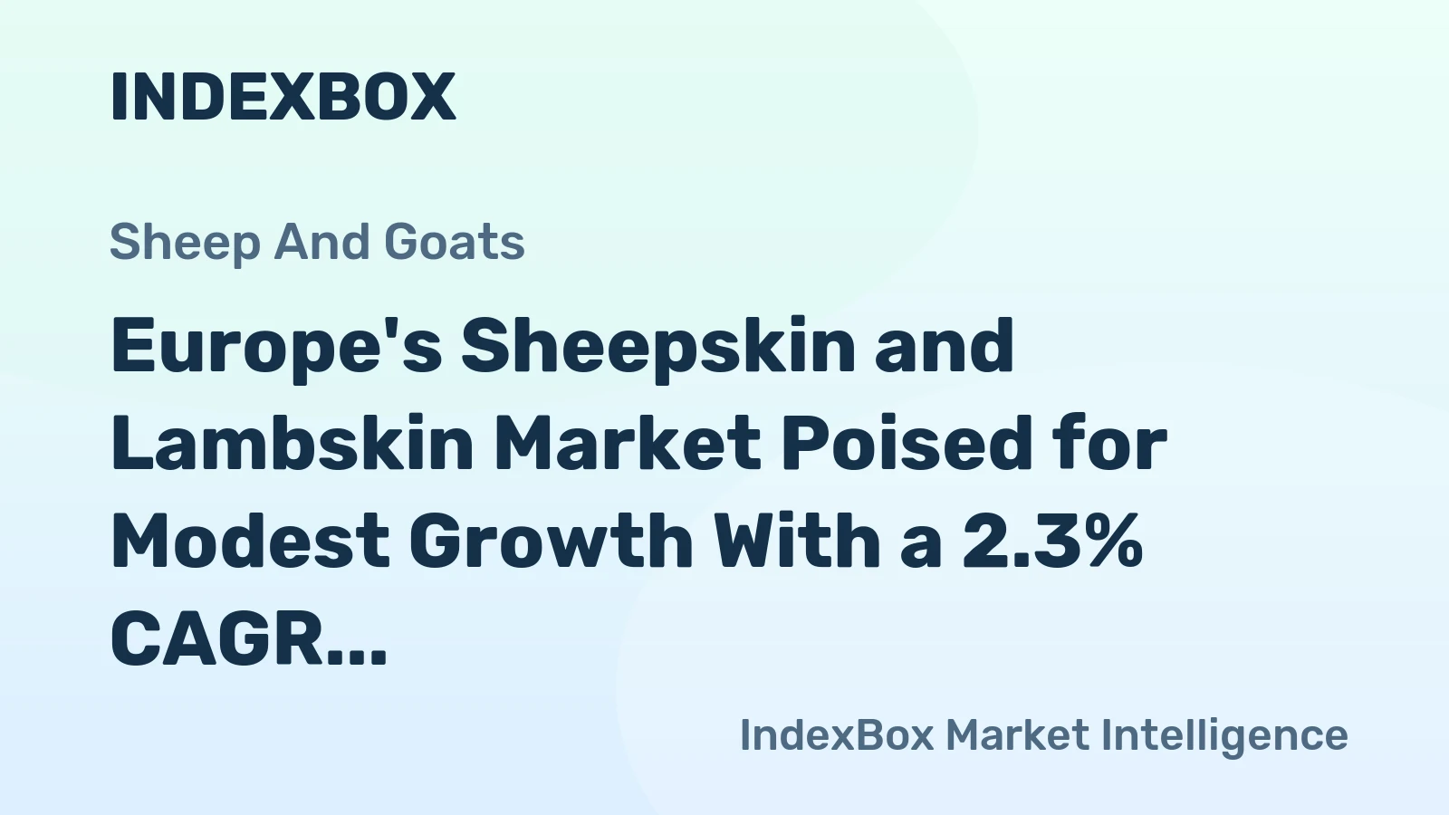Europe's Sheepskin and Lambskin Market Poised for Modest Growth With a 2.3% CAGR in Value