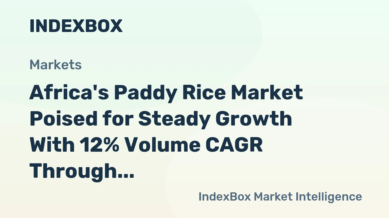 Africa's Paddy Rice Market Poised for Steady Growth With 12% Volume CAGR Through 2035