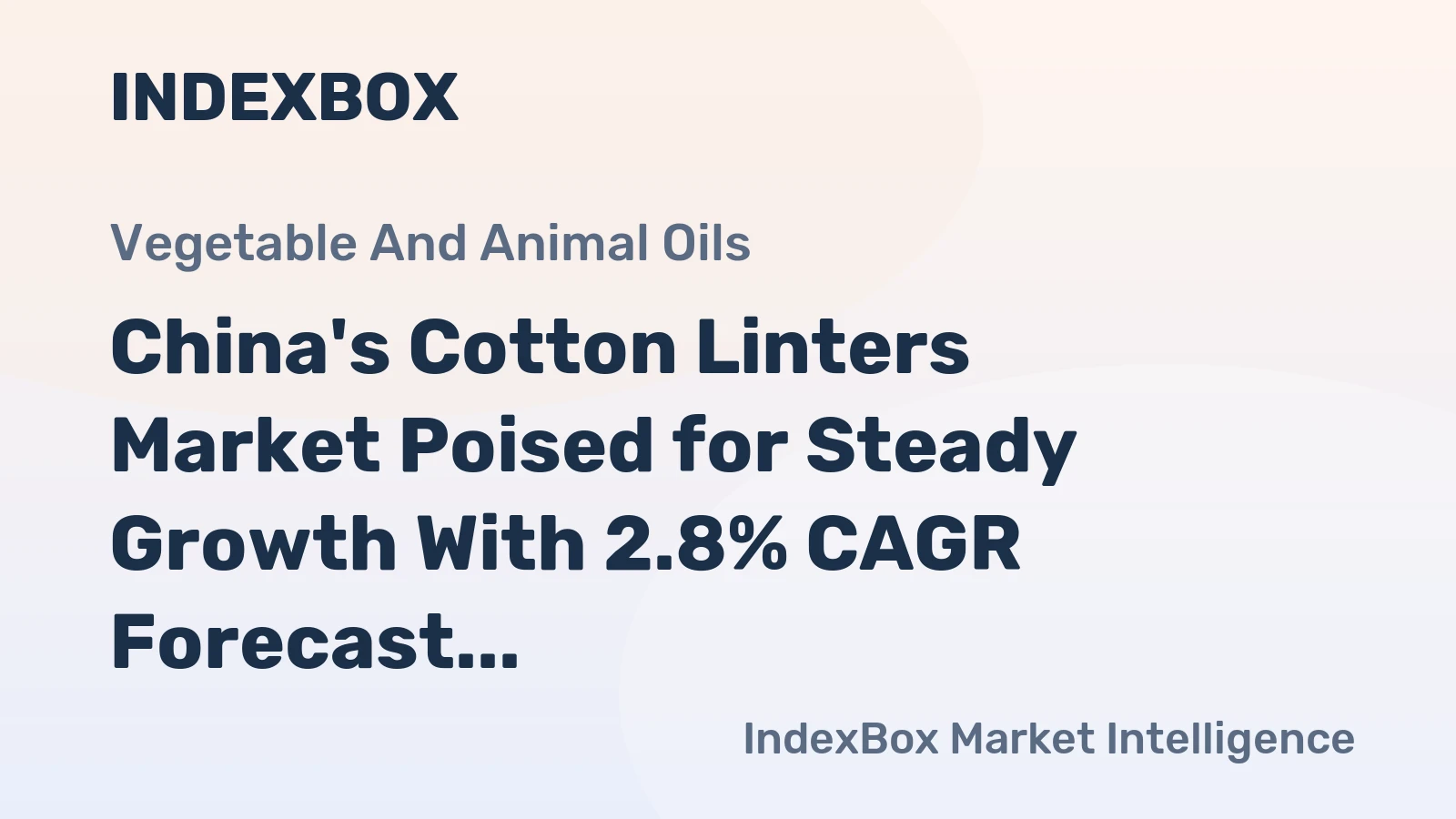 China's Cotton Linters Market Poised for Steady Growth With 2.8% CAGR Forecast