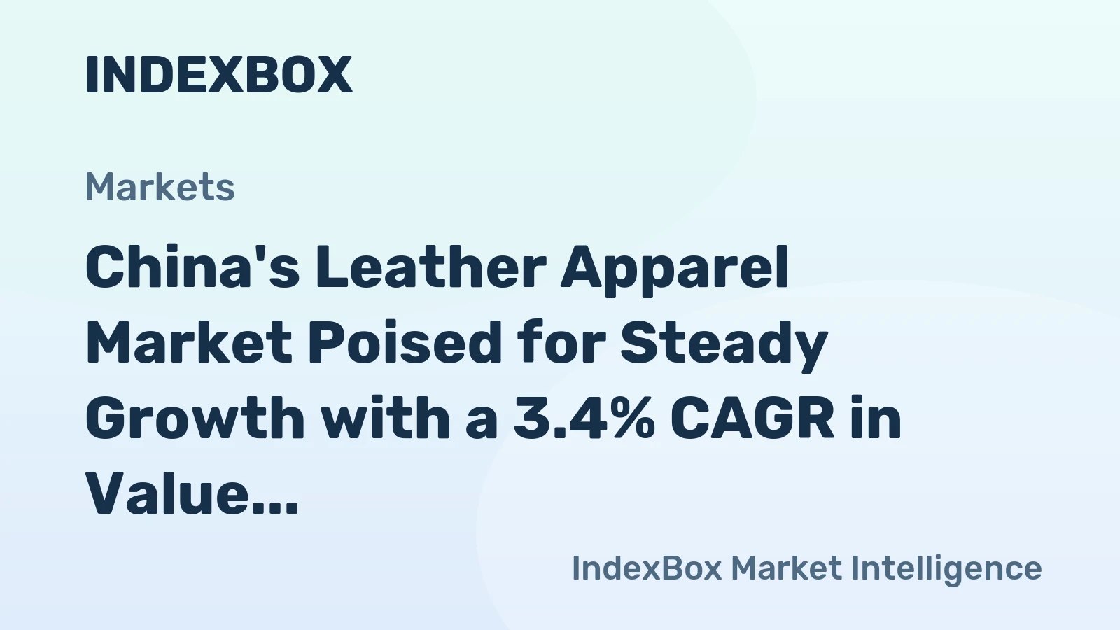 China's Leather Apparel Market Poised for Steady Growth with a 3.4% CAGR in Value