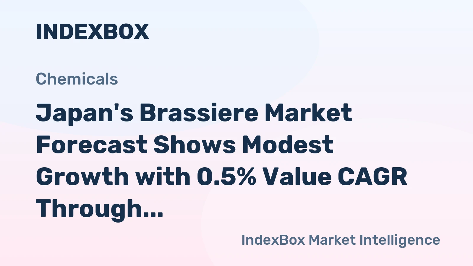 Japan's Brassiere Market Forecast Shows Modest Growth with 0.5% Value CAGR Through 2035