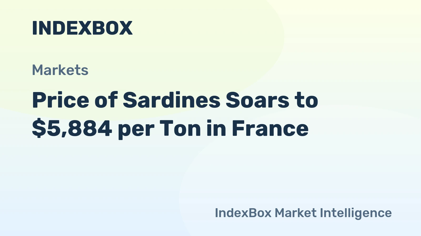 Price of Sardines Soars to $5,884 per Ton in France