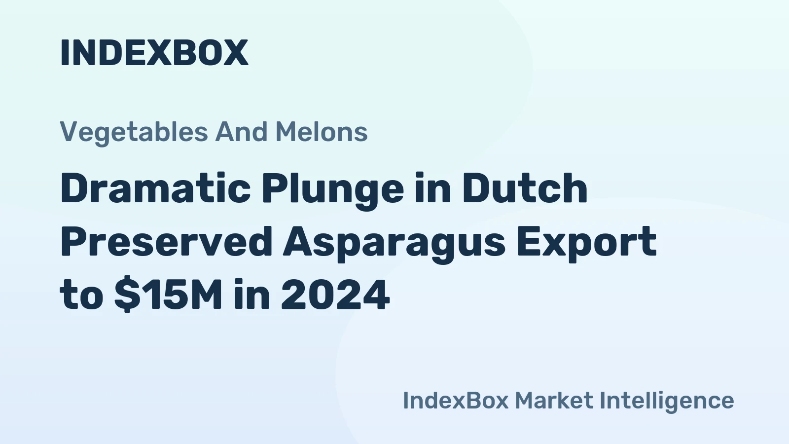 Dramatic Plunge in Dutch Preserved Asparagus Export to $15M in 2024