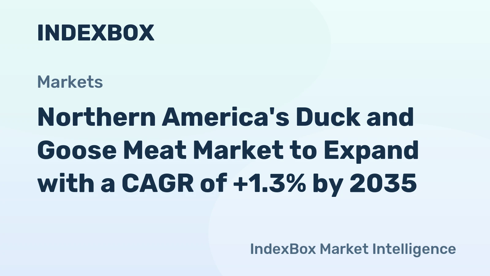 Northern America's Duck and Goose Meat Market to Expand with a CAGR of +1.3% by 2035