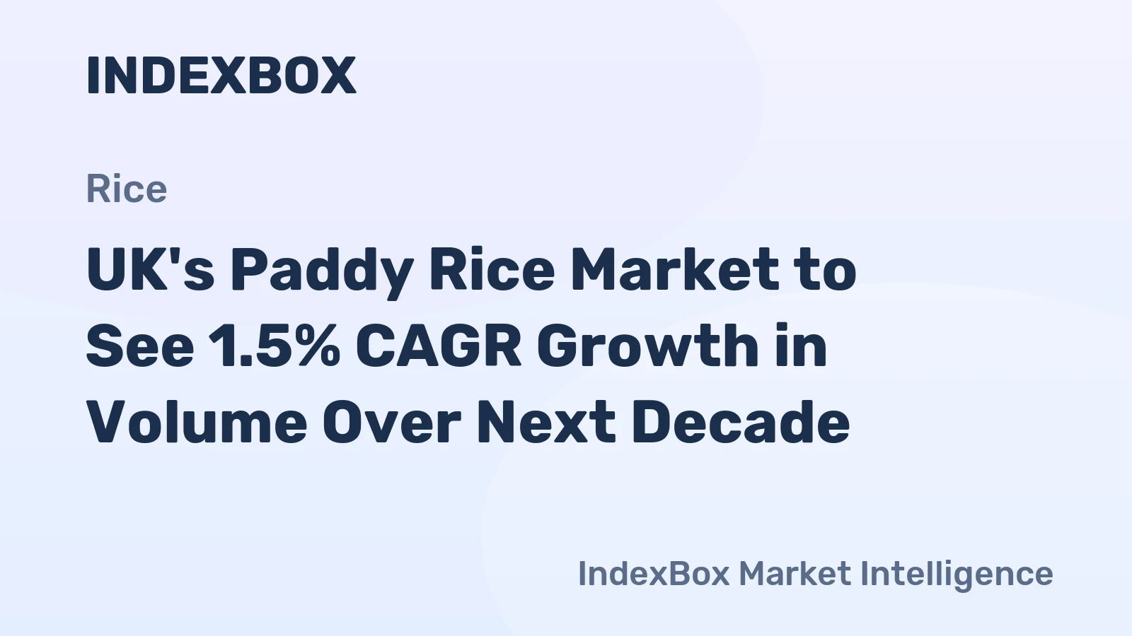 UK's Paddy Rice Market to See 1.5% CAGR Growth in Volume Over Next Decade
