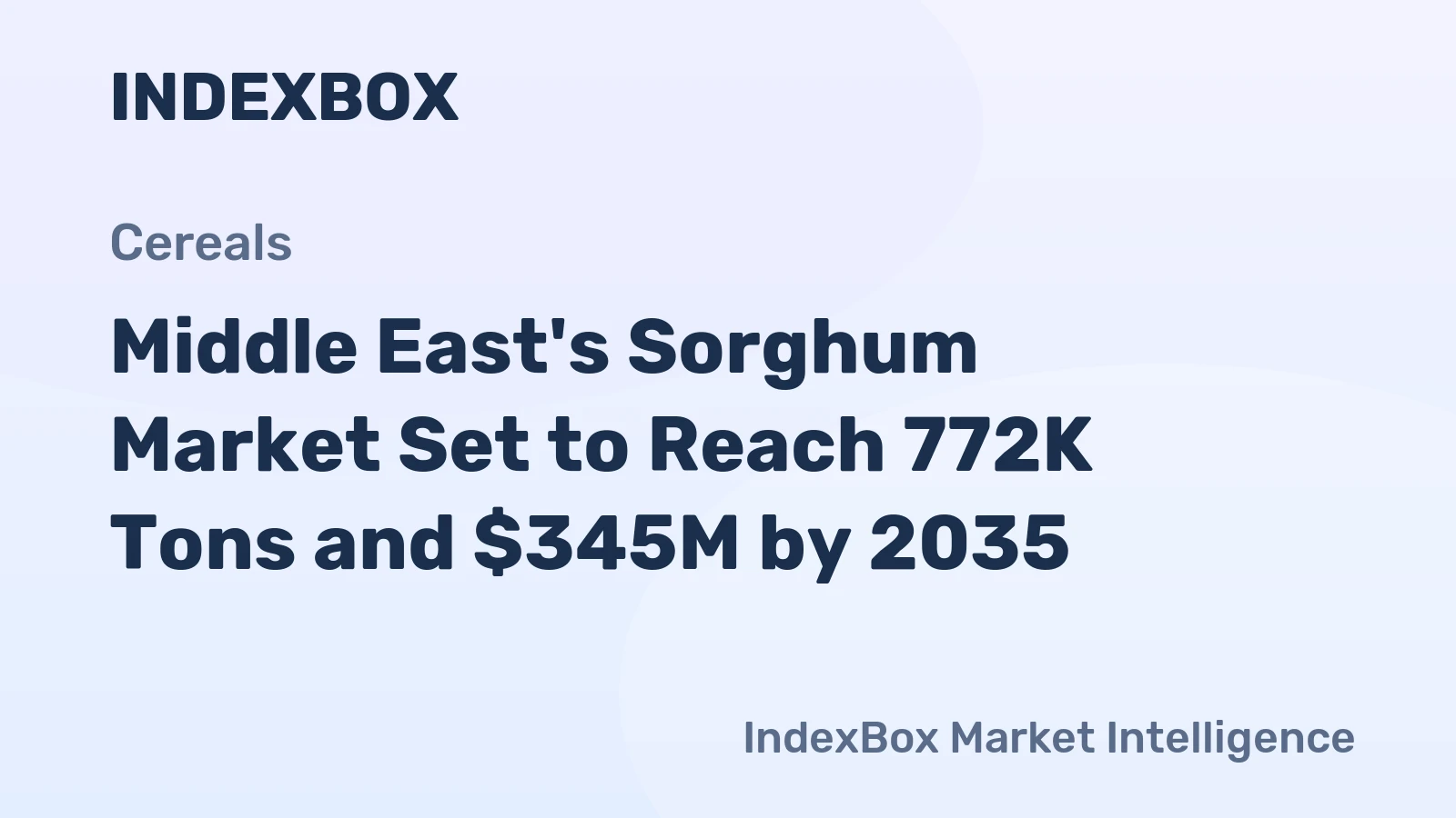 Middle East's Sorghum Market Set to Reach 772K Tons and $345M by 2035