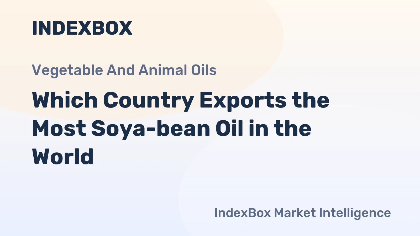 Which Country Exports the Most Soya-bean Oil in the World?