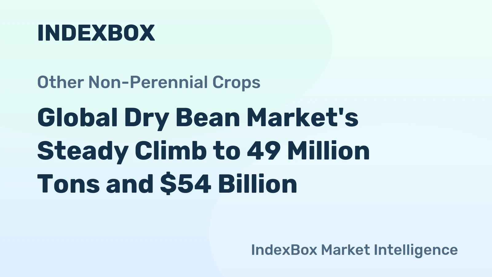 Global Dry Bean Market's Steady Climb to 49 Million Tons and $54 Billion