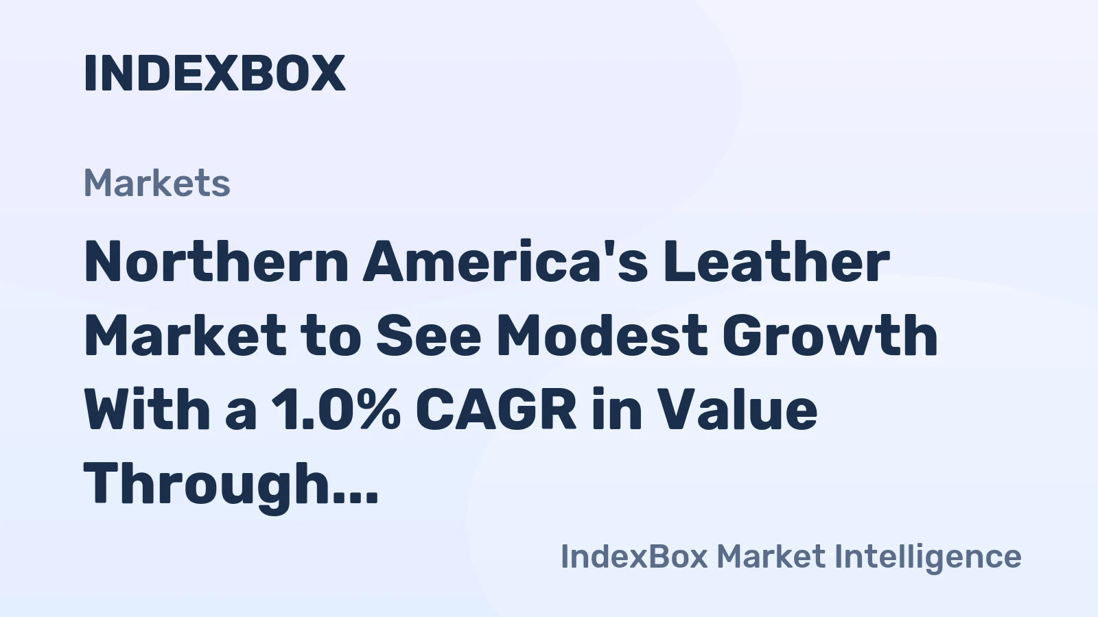 Northern America's Leather Market to See Modest Growth With a 1.0% CAGR in Value Through 2035