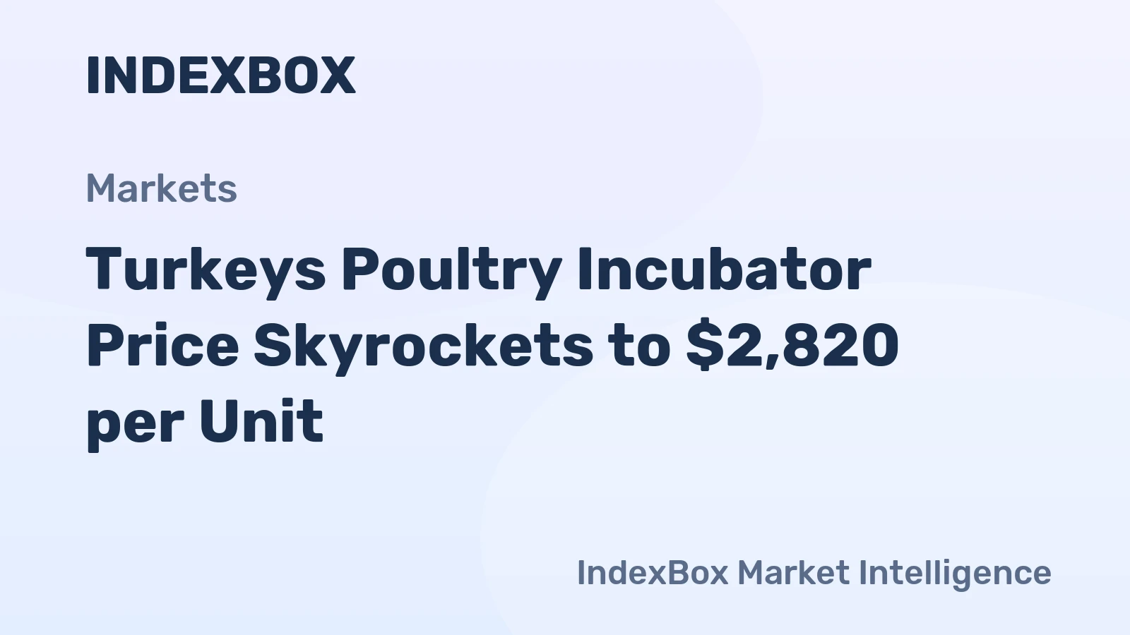 Turkeys Poultry Incubator Price Skyrockets to $2,820 per Unit