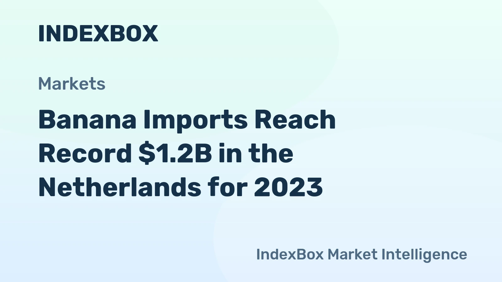 Banana Imports Reach Record $1.2B in the Netherlands for 2023