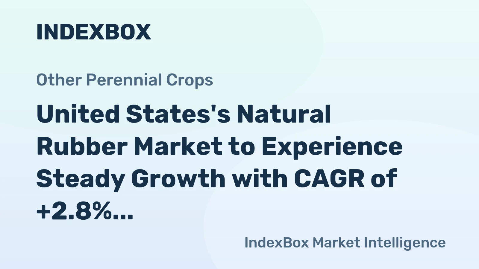 United States's Natural Rubber Market to Experience Steady Growth with CAGR of +2.8% from 2024-2035