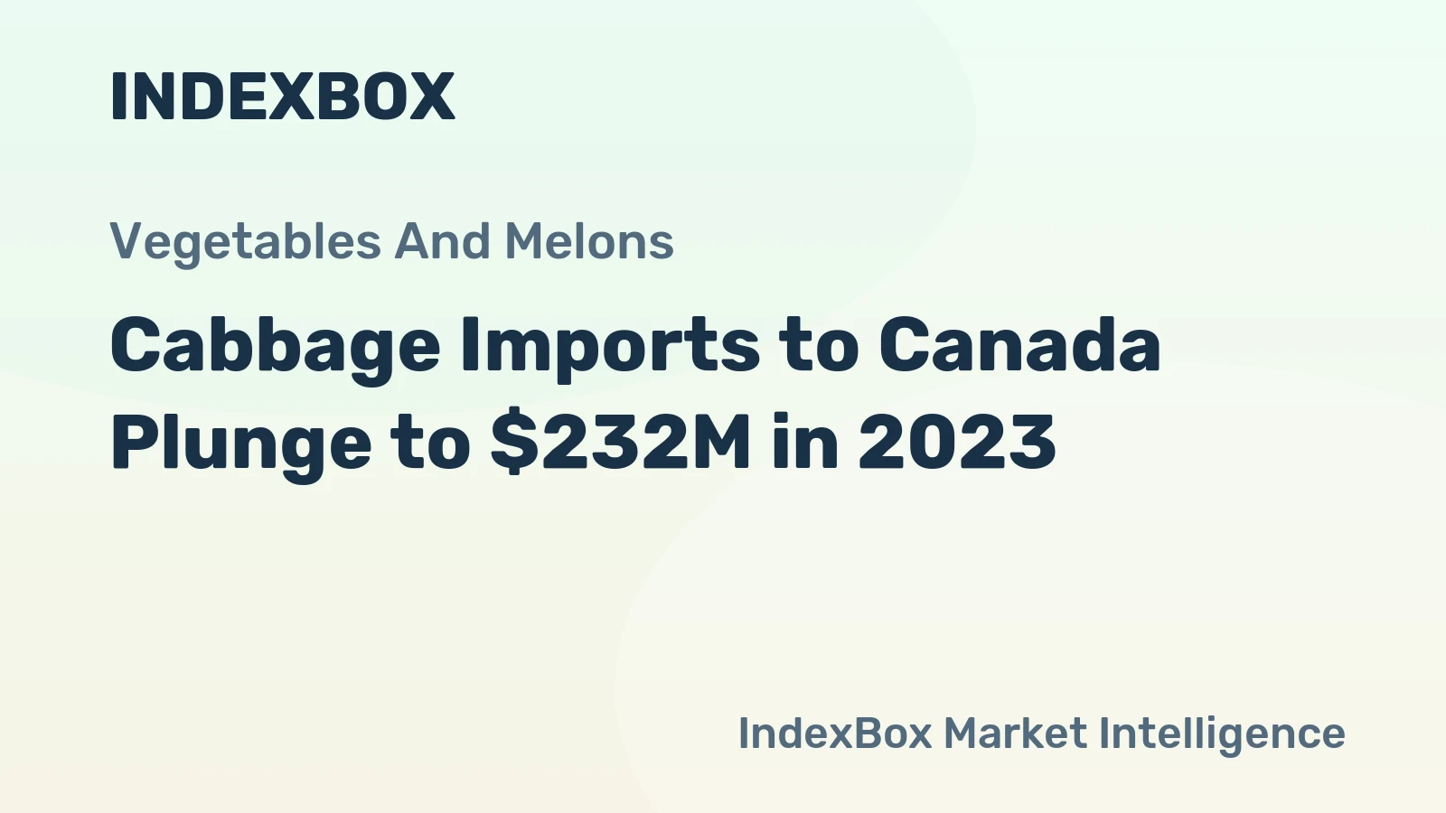 Cabbage Imports to Canada Plunge to $232M in 2023