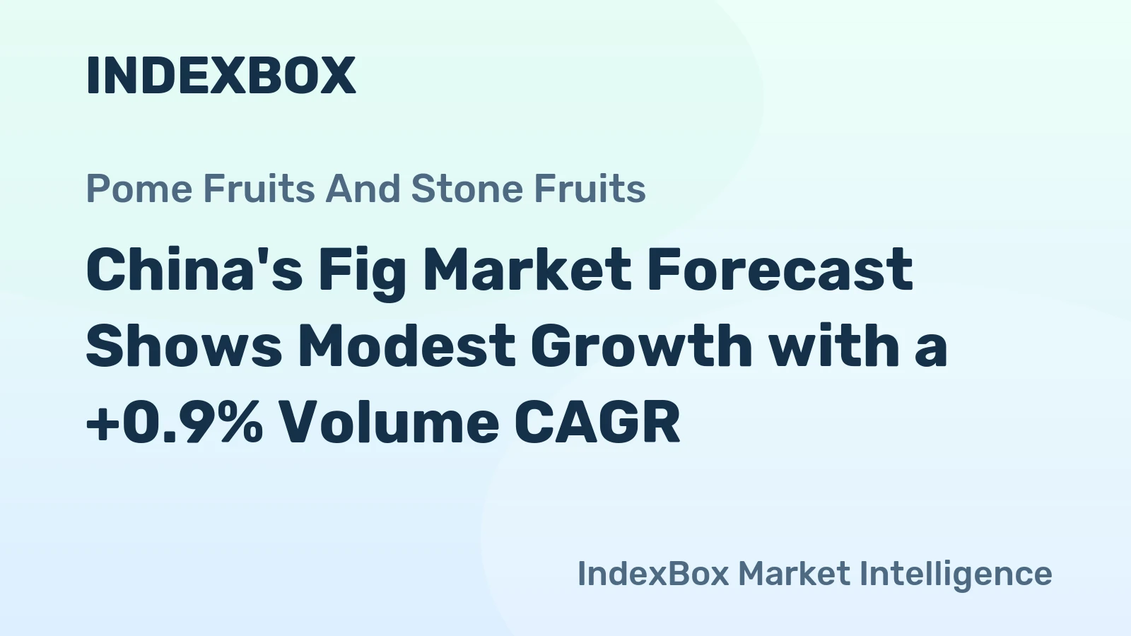 China's Fig Market Forecast Shows Modest Growth with a +0.9% Volume CAGR
