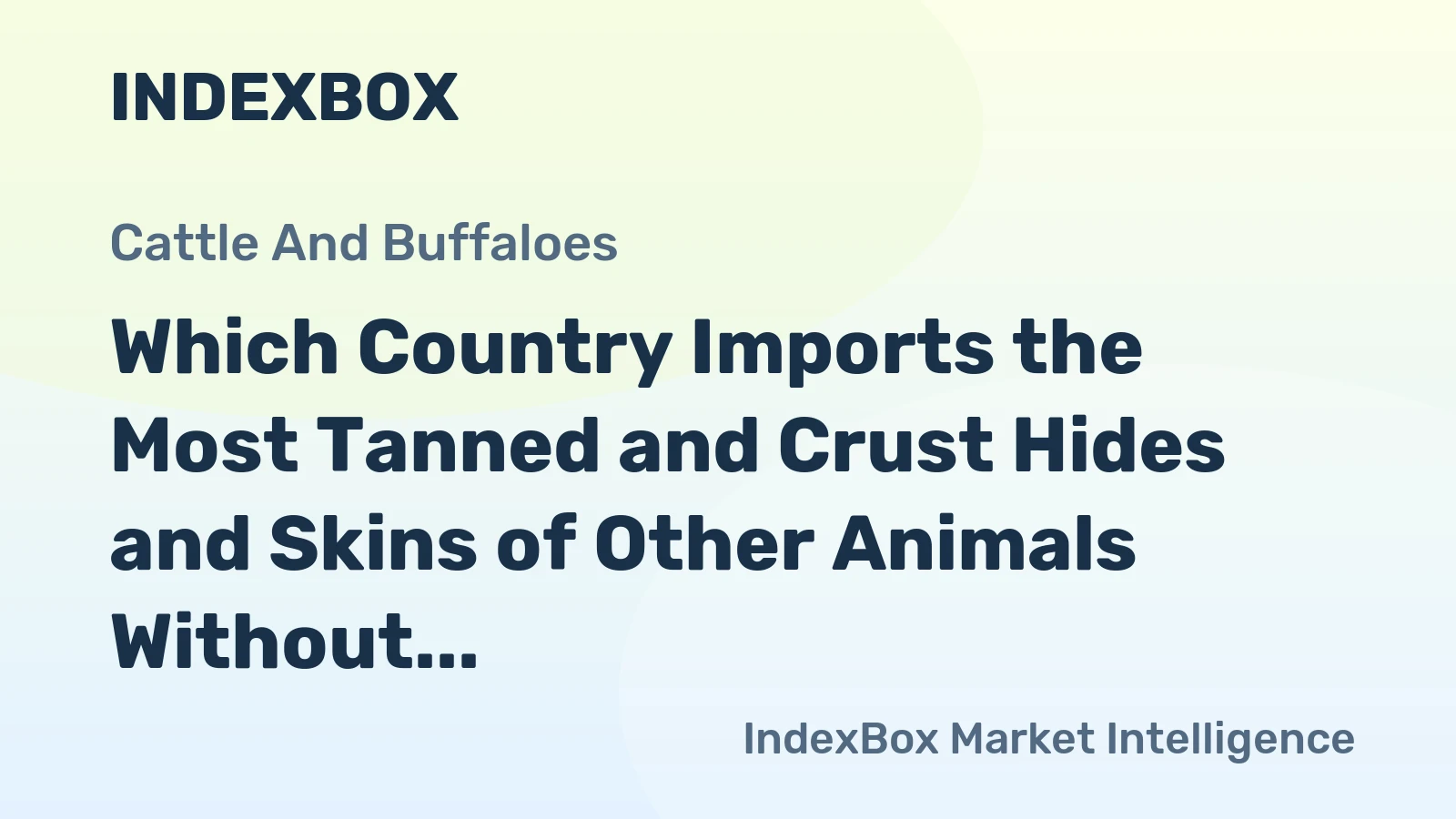 Which Country Imports the Most Tanned and Crust Hides and Skins of Other Animals Without Wool in the World?