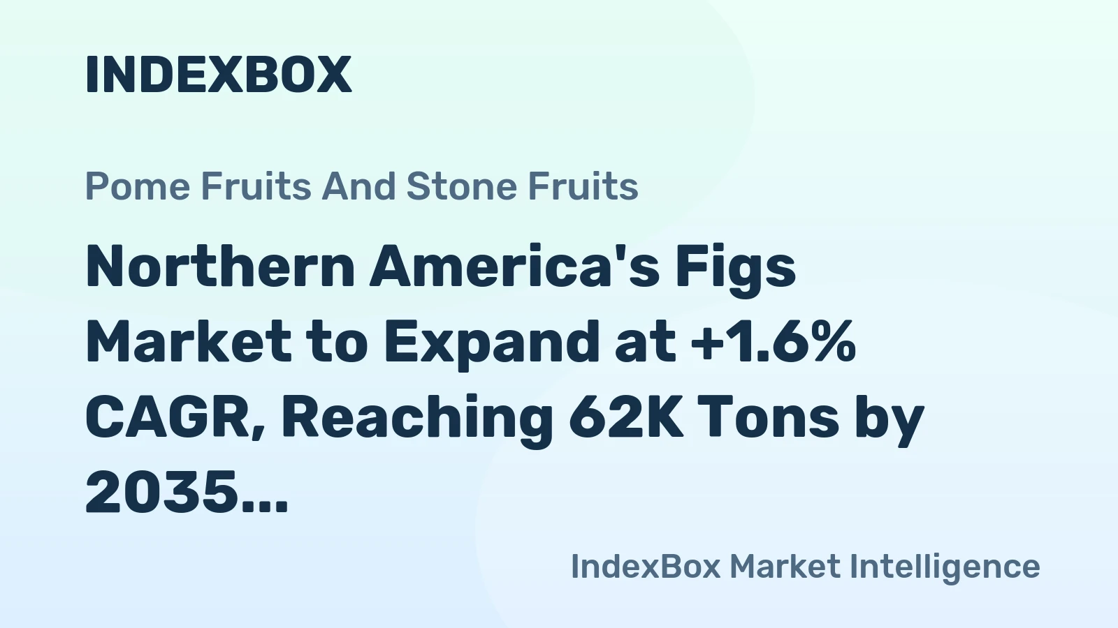 Northern America's Figs Market to Expand at +1.6% CAGR, Reaching 62K Tons by 2035