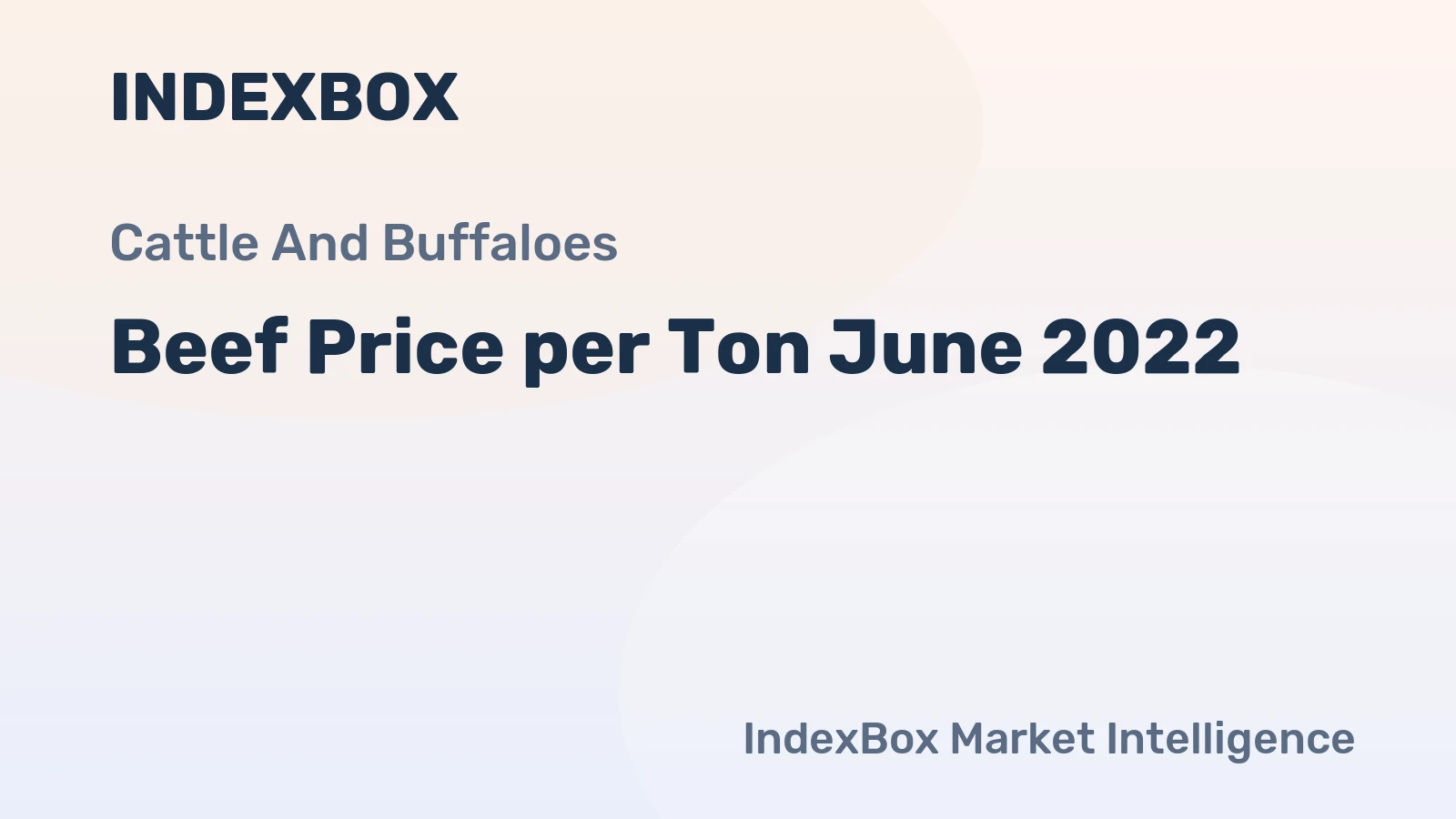 Beef Price per Ton June 2022