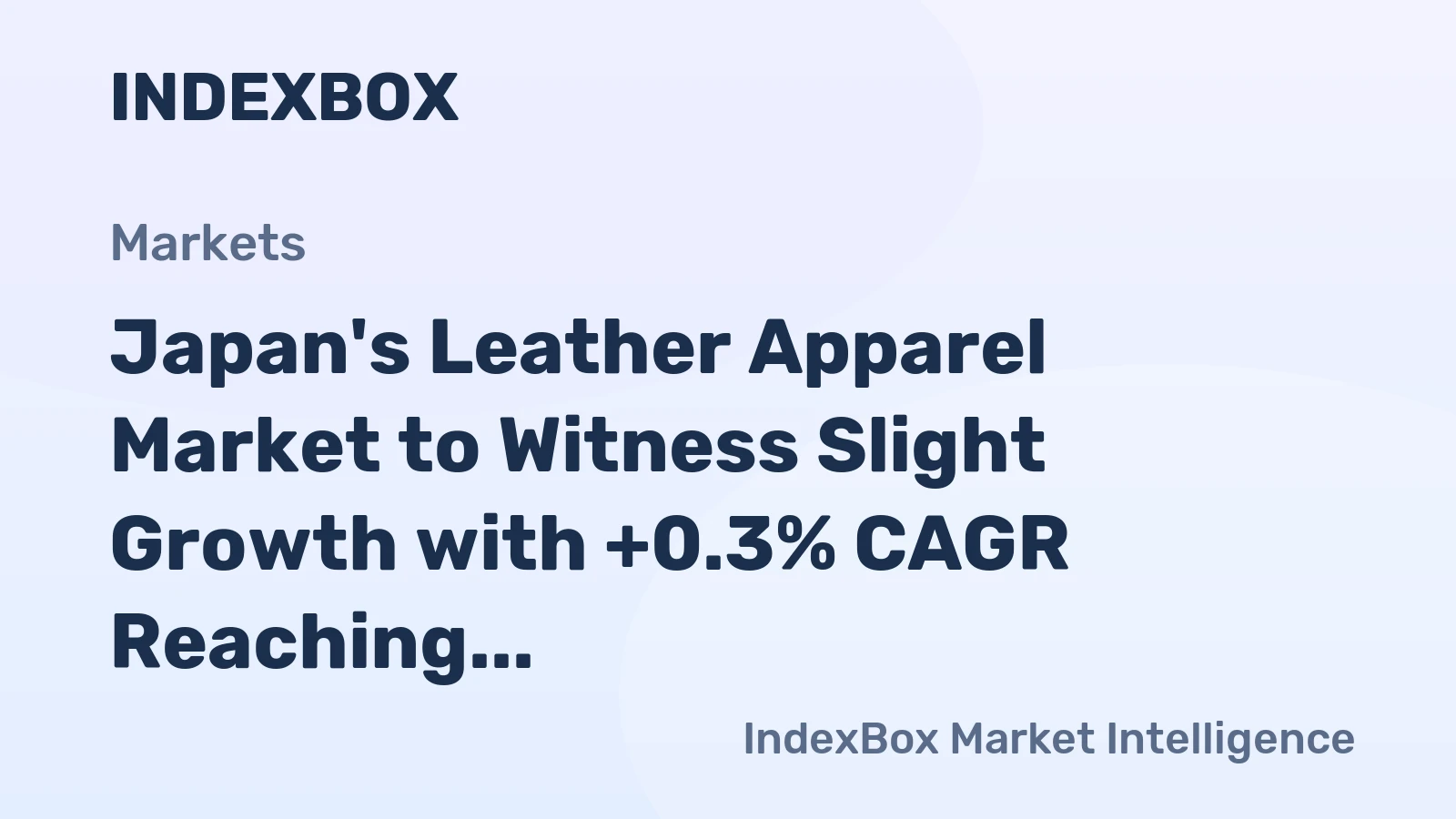 Japan's Leather Apparel Market to Witness Slight Growth with +0.3% CAGR Reaching $96M by 2035
