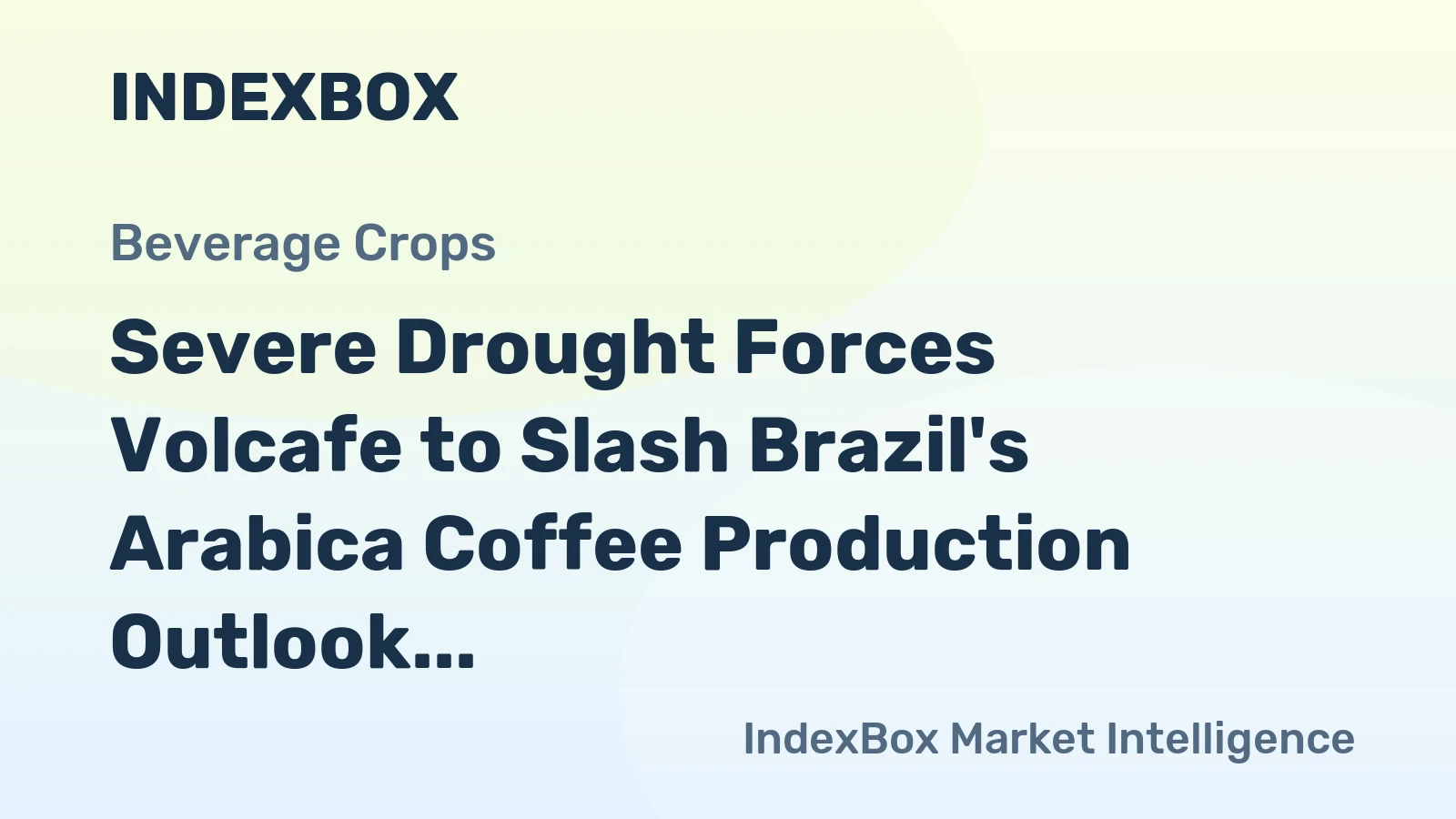 Severe Drought Forces Volcafe to Slash Brazil's Arabica Coffee Production Outlook