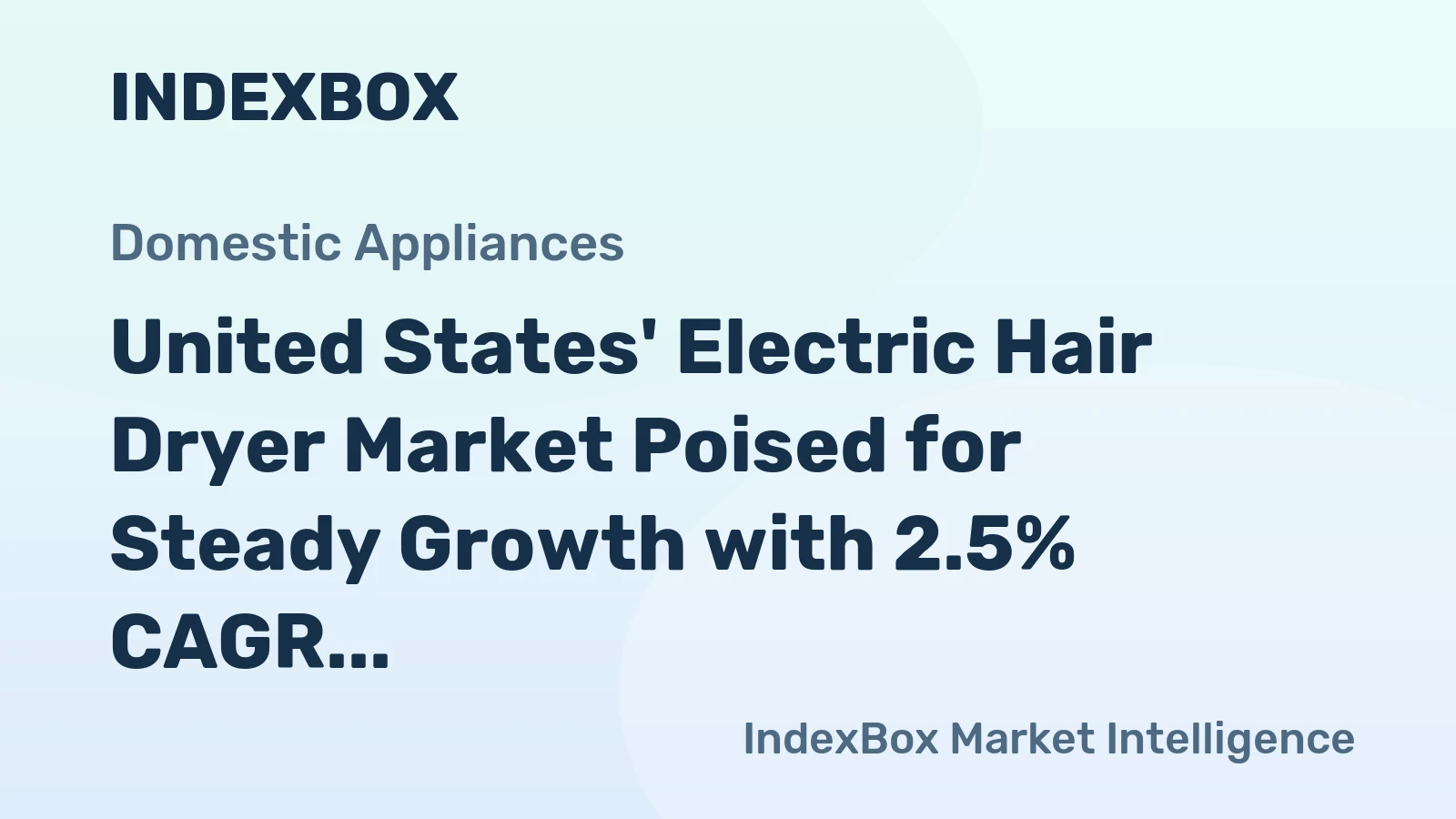 United States' Electric Hair Dryer Market Poised for Steady Growth with 2.5% CAGR in Value