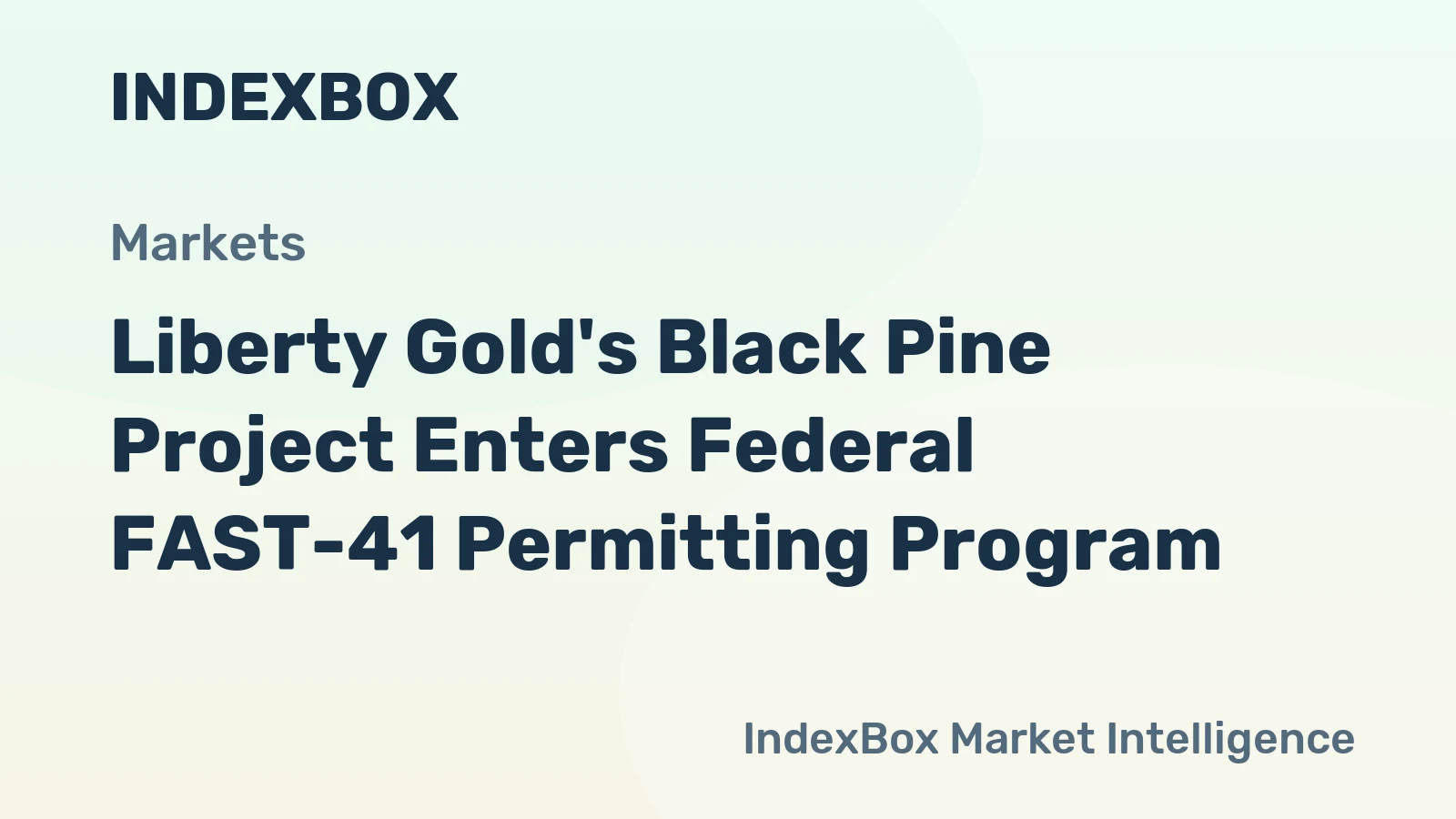 Liberty Gold's Black Pine Project Enters Federal FAST-41 Permitting Program