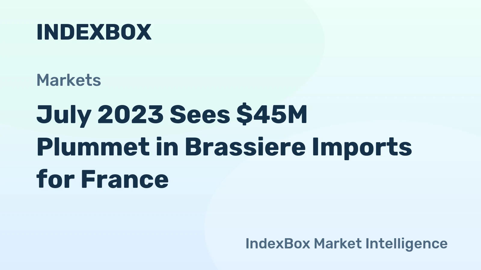 July 2023 Sees $45M Plummet in Brassiere Imports for France