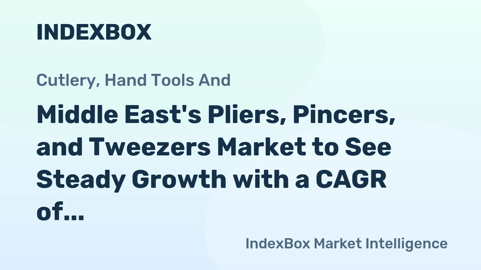 Middle East's Pliers, Pincers, and Tweezers Market to See Steady Growth with a CAGR of +1.1%