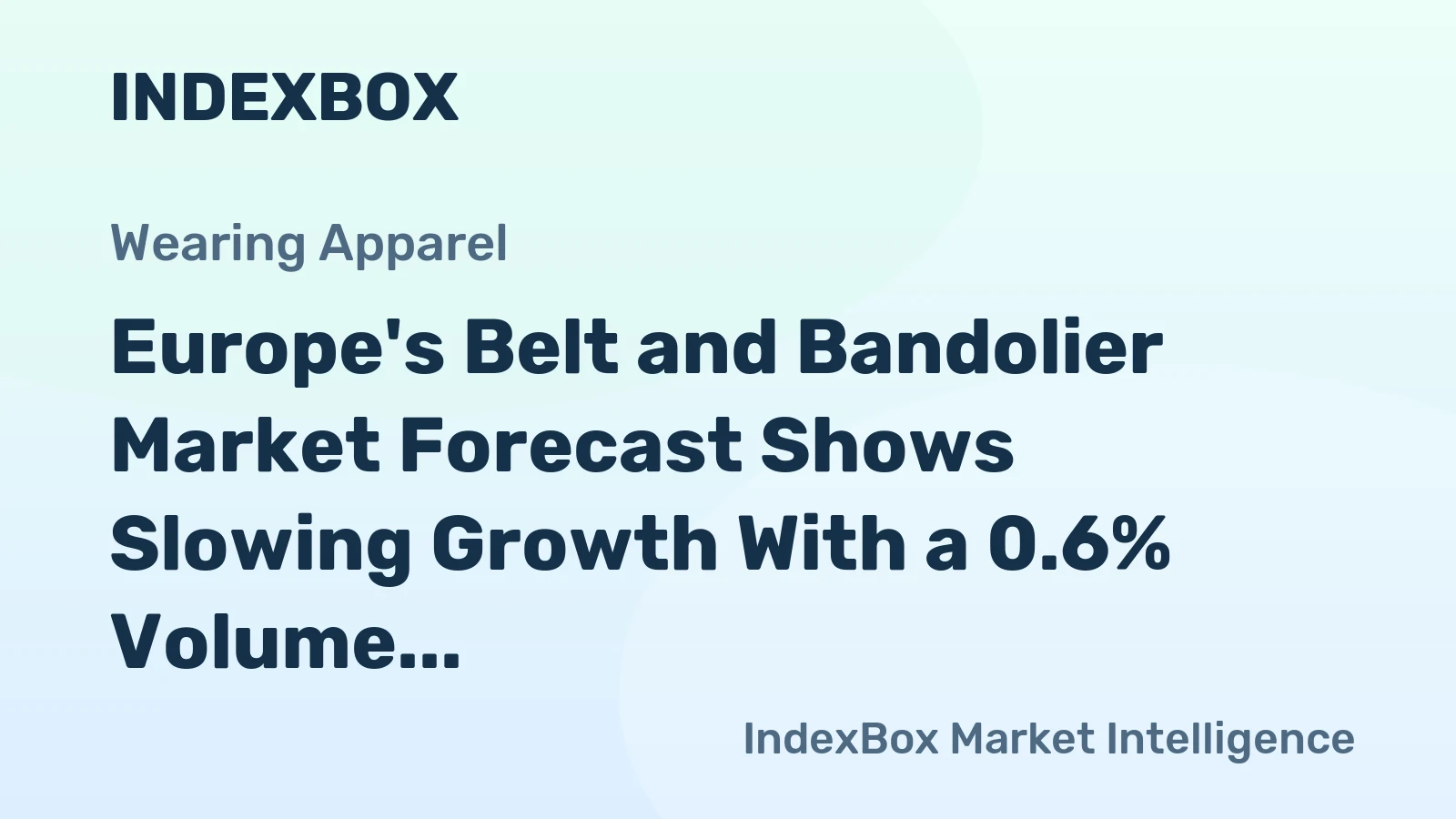 Europe's Belt and Bandolier Market Forecast Shows Slowing Growth With a 0.6% Volume CAGR Through 2035