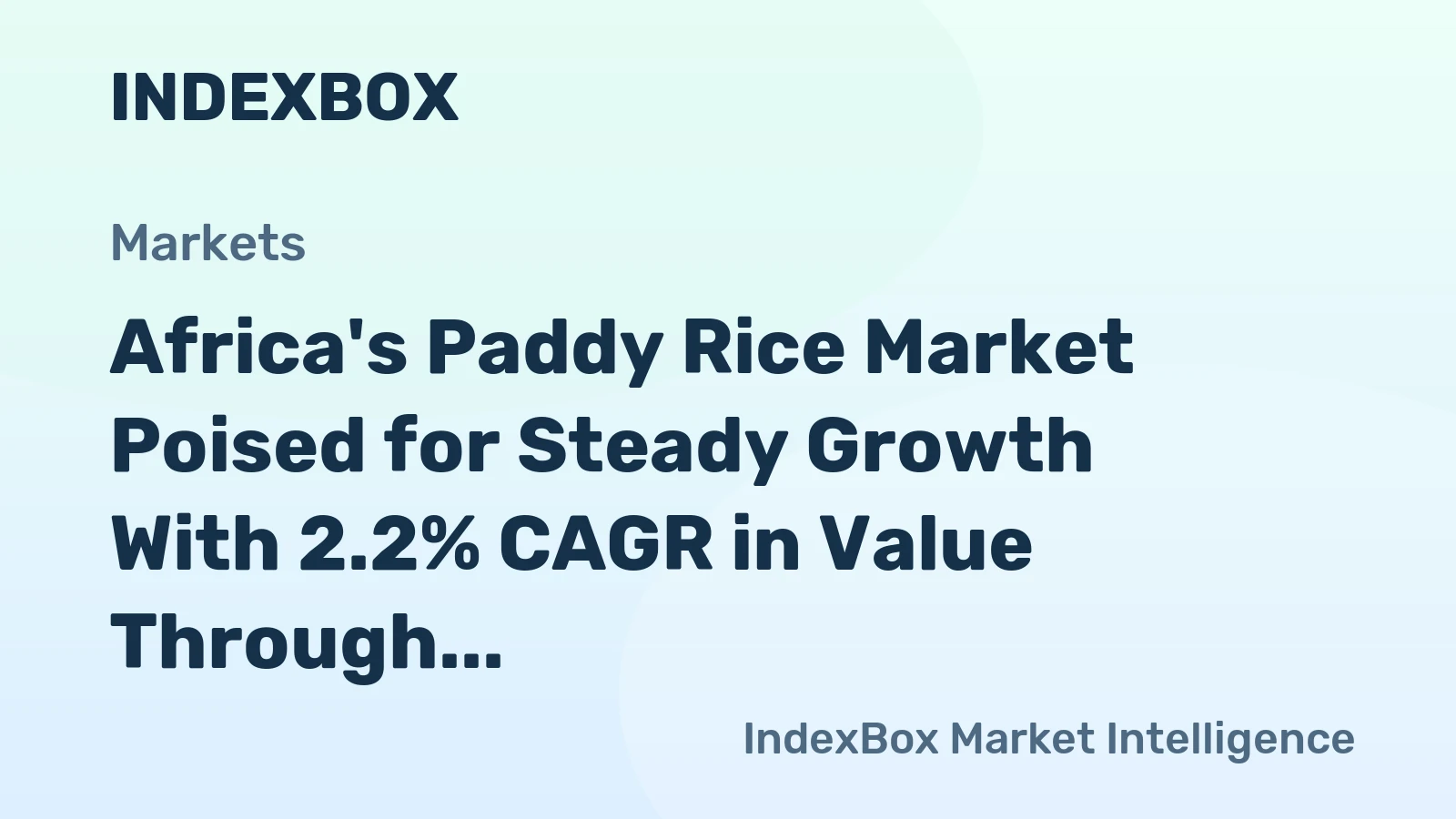 Africa's Paddy Rice Market Poised for Steady Growth With 2.2% CAGR in Value Through 2035