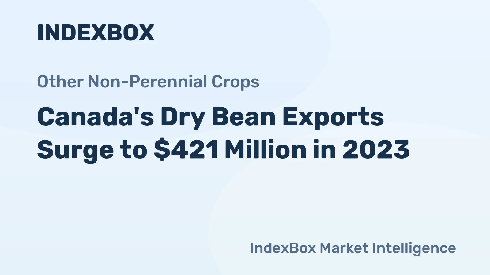 Canada's Dry Bean Exports Surge to $421 Million in 2023