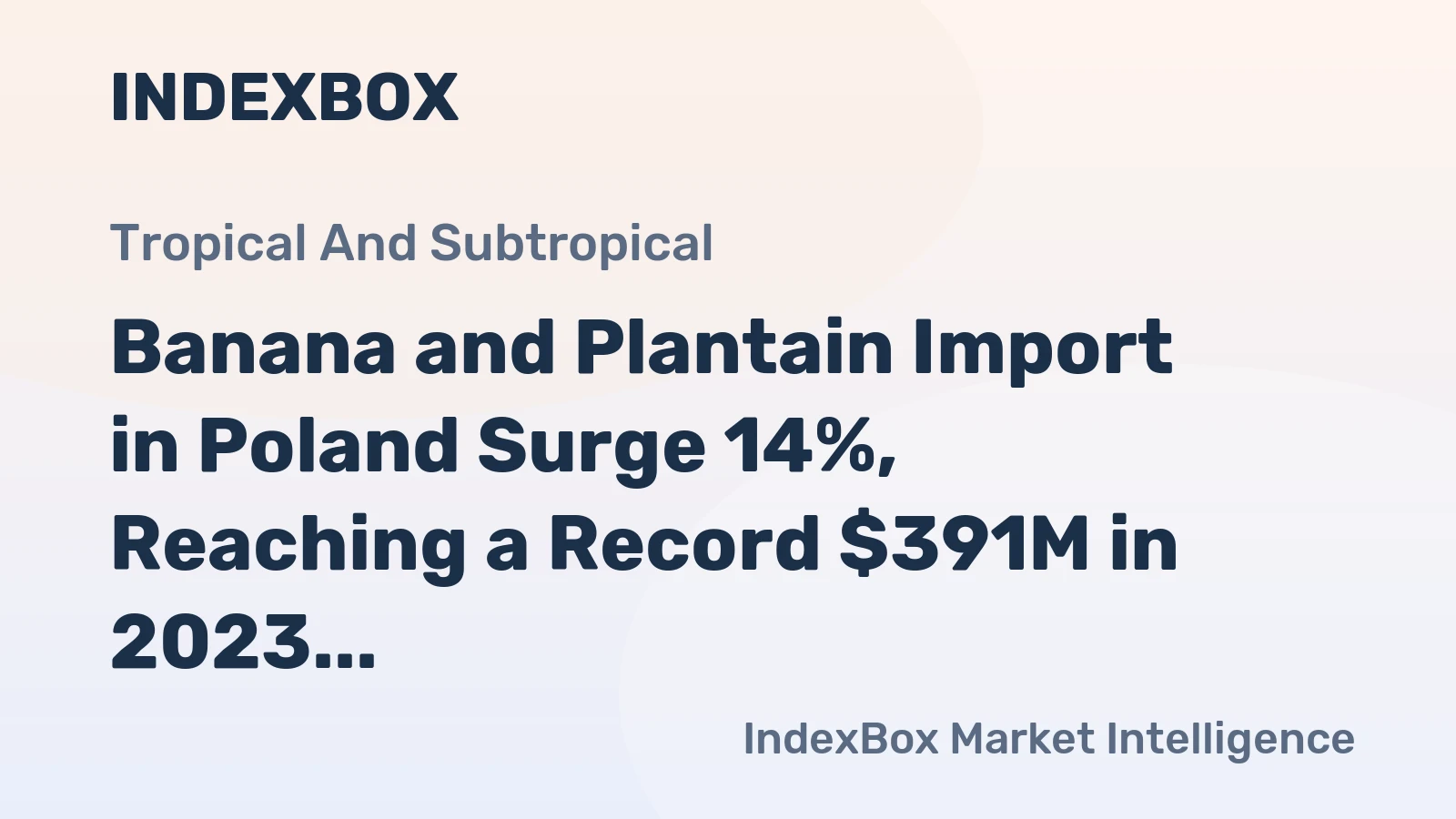 Banana and Plantain Import in Poland Surge 14%, Reaching a Record $391M in 2023