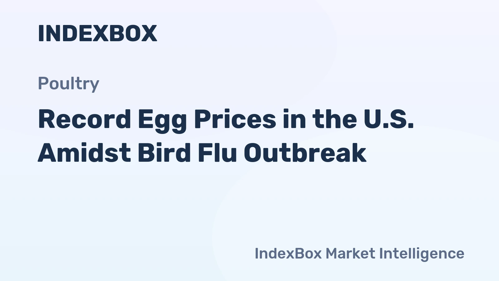 Record Egg Prices in the U.S. Amidst Bird Flu Outbreak