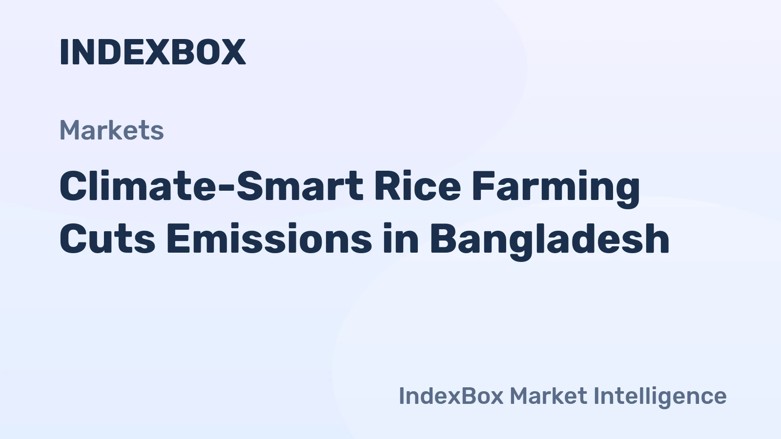 Climate-Smart Rice Farming Cuts Emissions in Bangladesh