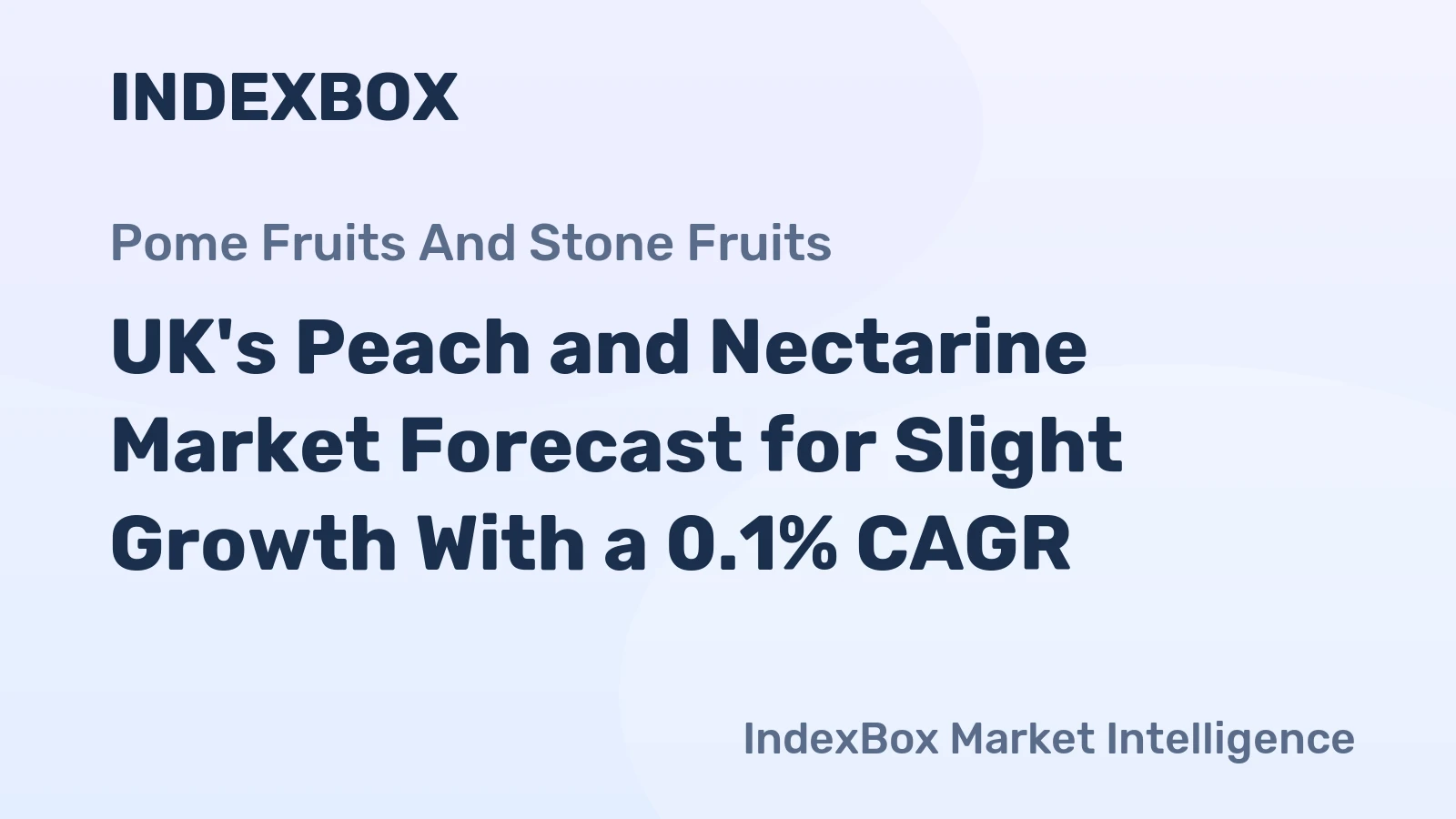 UK's Peach and Nectarine Market Forecast for Slight Growth With a 0.1% CAGR