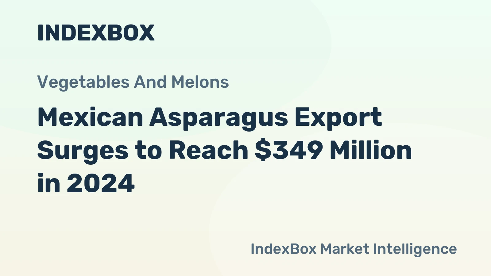 Mexican Asparagus Export Surges to Reach $349 Million in 2024