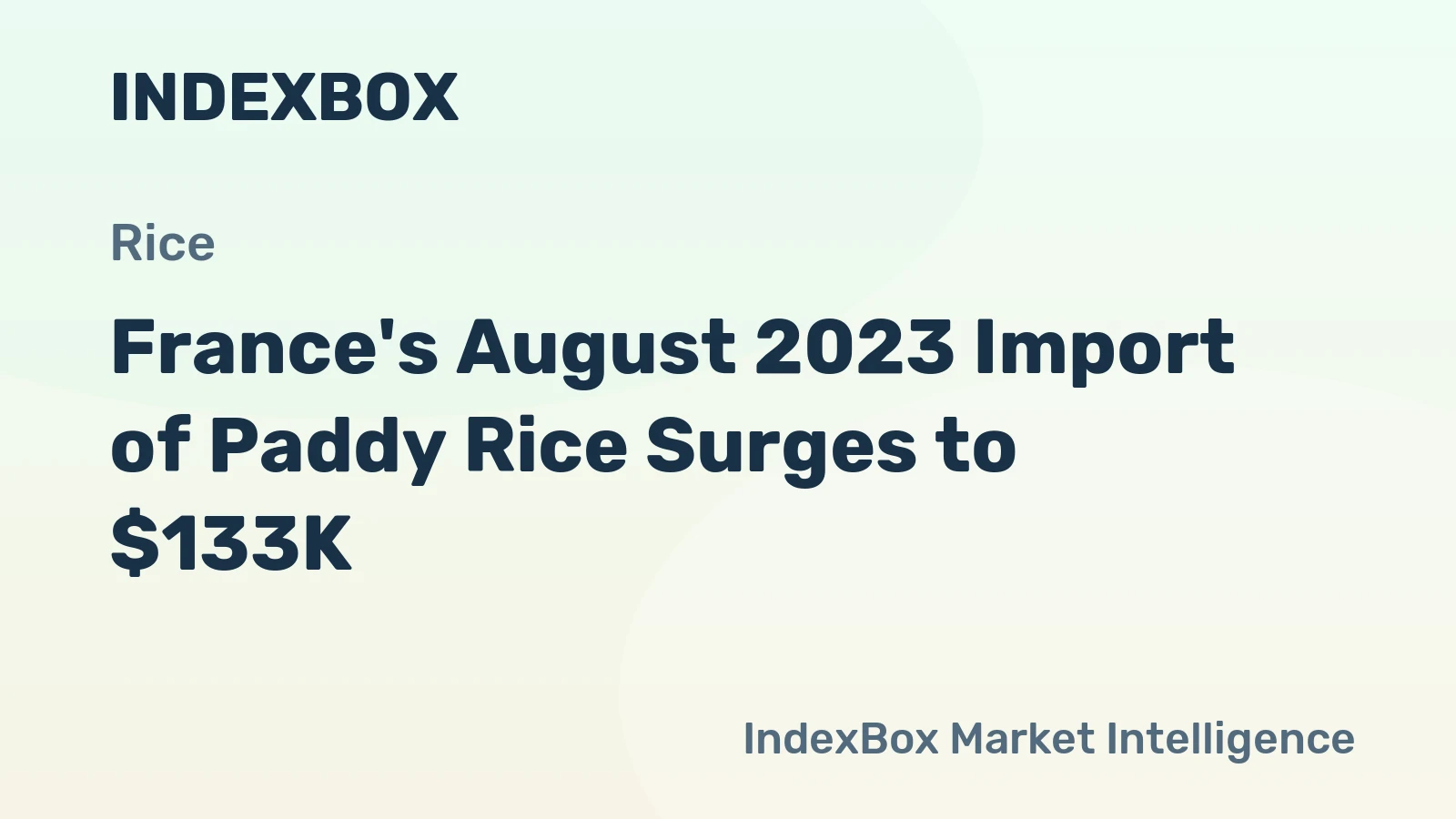 France's August 2023 Import of Paddy Rice Surges to $133K