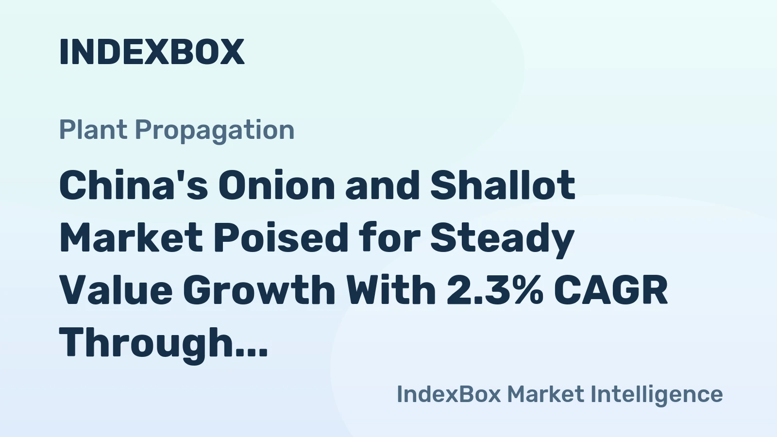 China's Onion and Shallot Market Poised for Steady Value Growth With 2.3% CAGR Through 2035