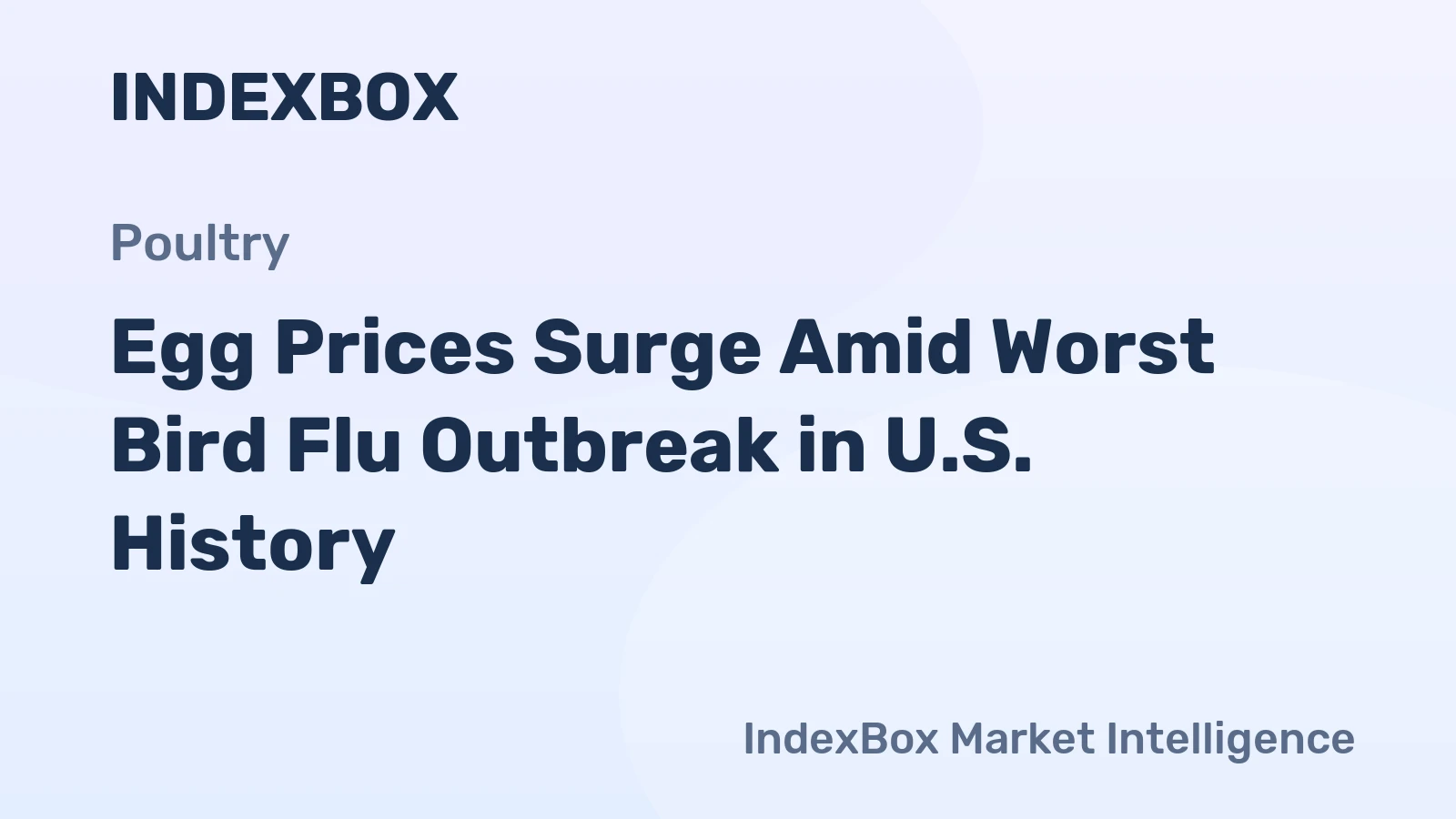 Egg Prices Surge Amid Worst Bird Flu Outbreak in U.S. History