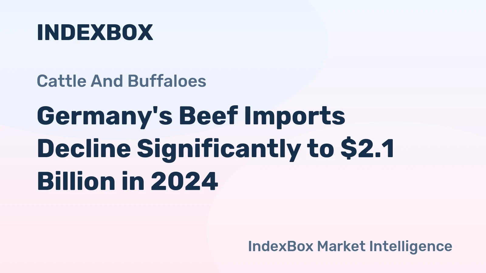 Germany's Beef Imports Decline Significantly to $2.1 Billion in 2024