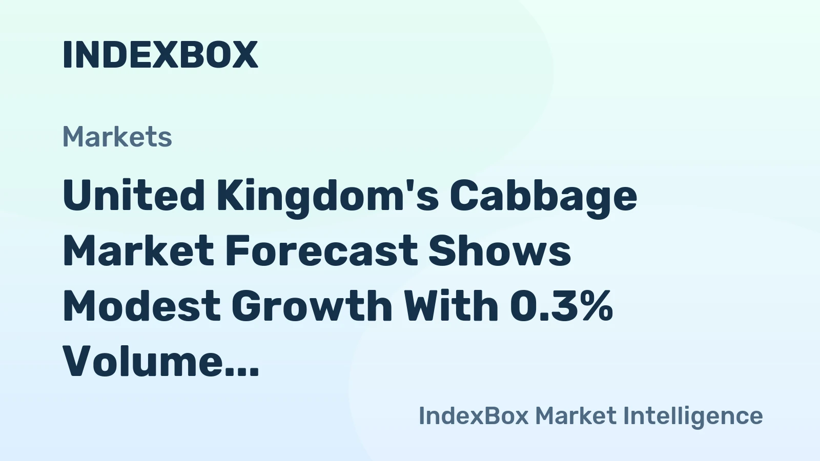 United Kingdom's Cabbage Market Forecast Shows Modest Growth With 0.3% Volume CAGR