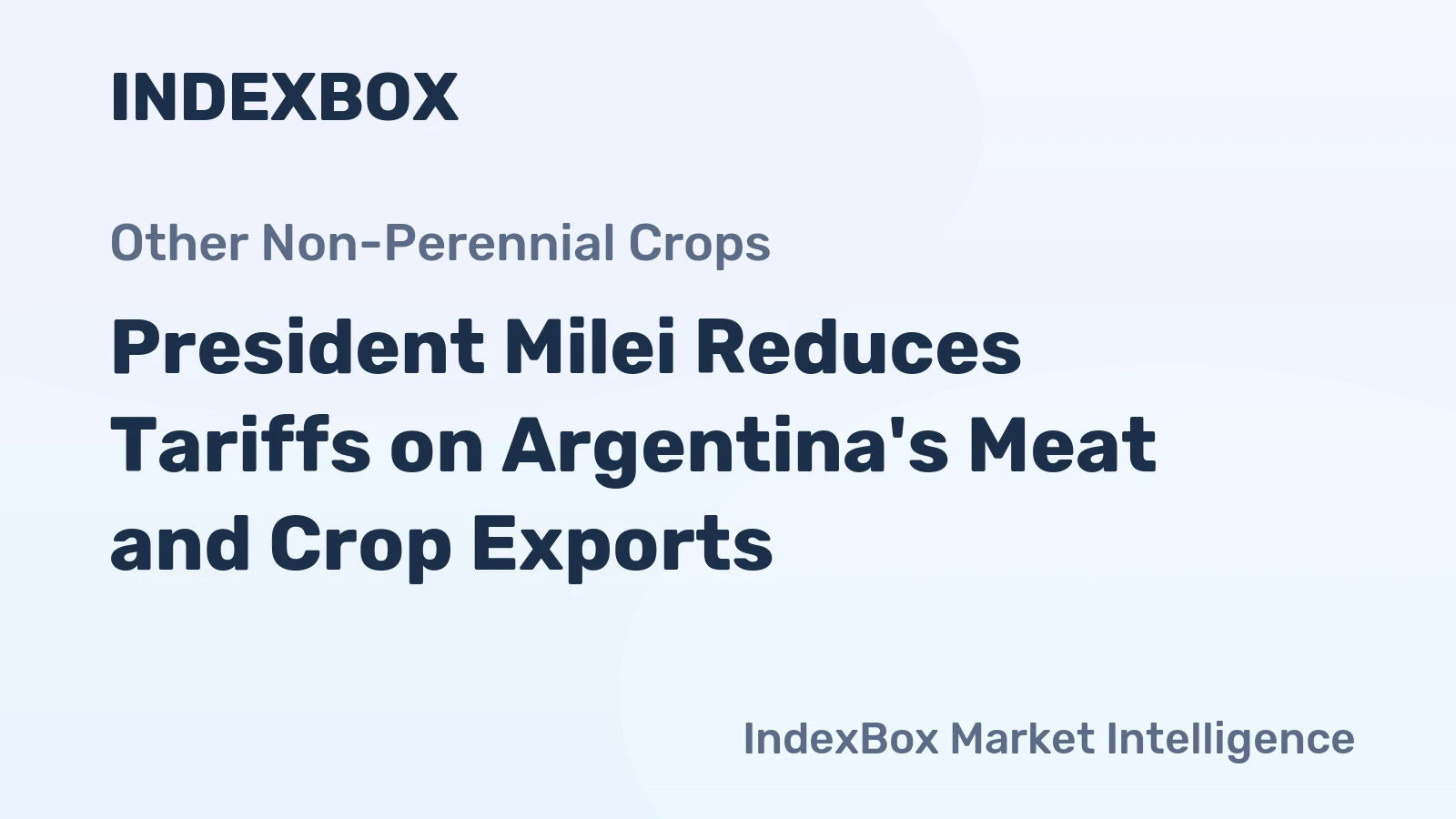 President Milei Reduces Tariffs on Argentina's Meat and Crop Exports