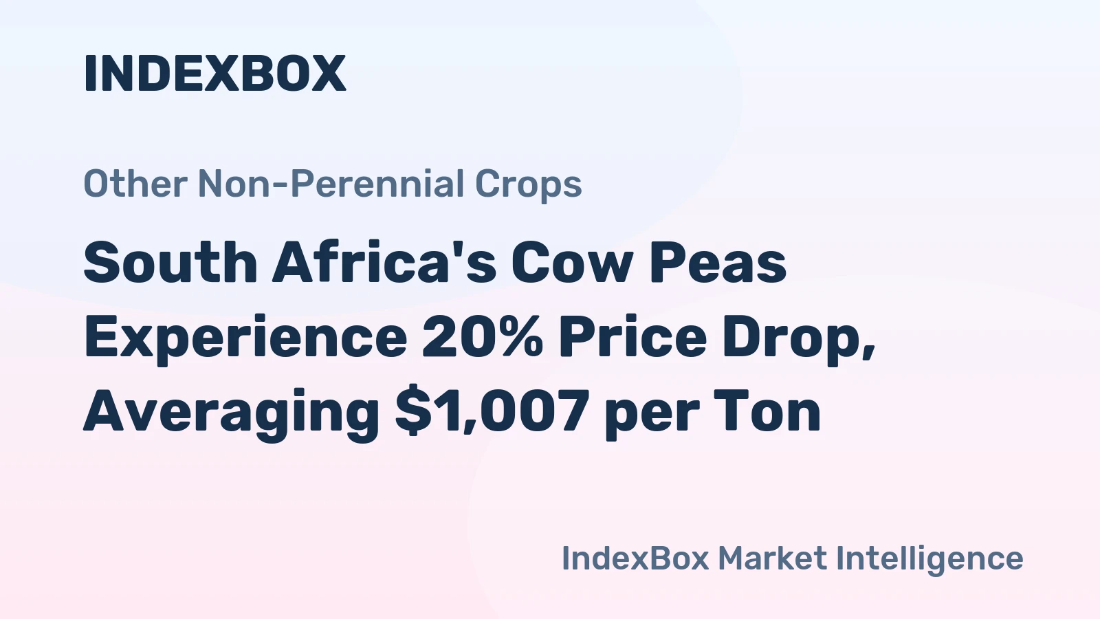 South Africa's Cow Peas Experience 20% Price Drop, Averaging $1,007 per Ton