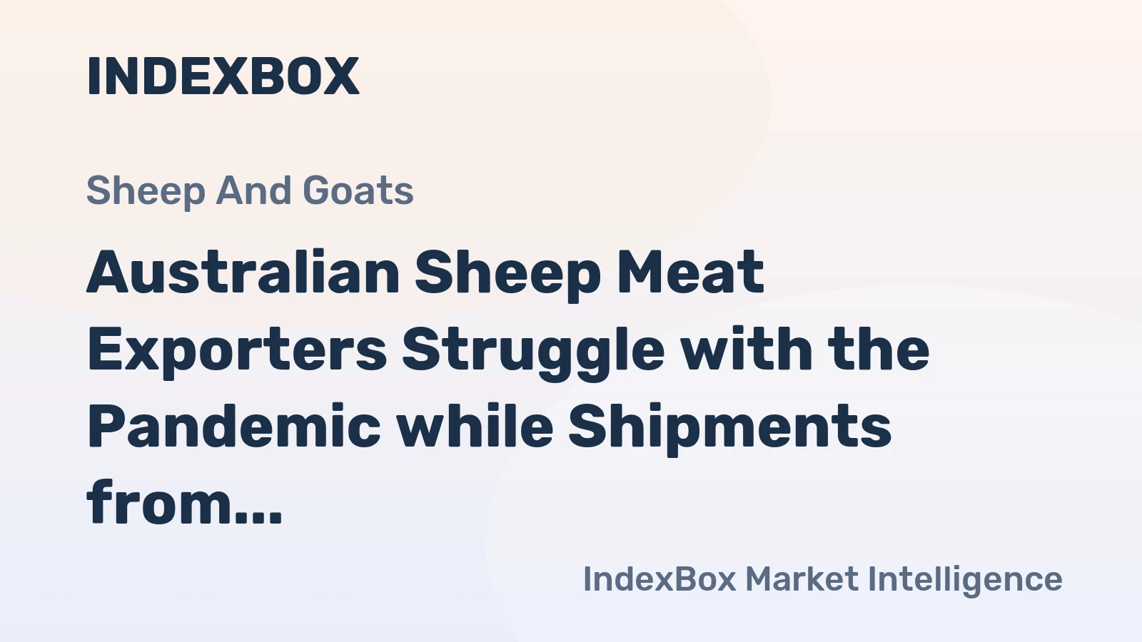 Australian Sheep Meat Exporters Struggle with the Pandemic while Shipments from New Zealand Keep Solid