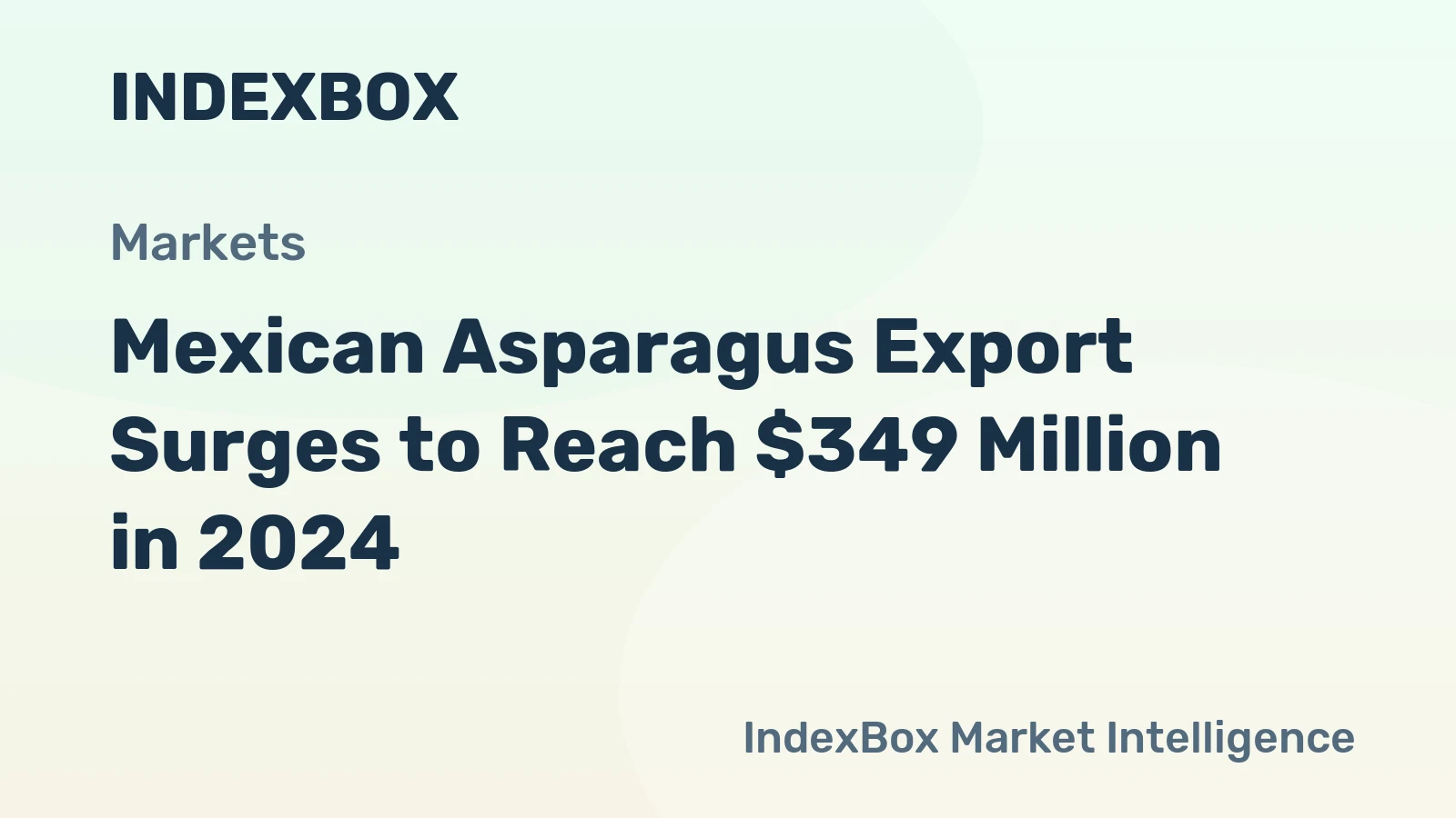 Mexican Asparagus Export Surges to Reach $349 Million in 2024