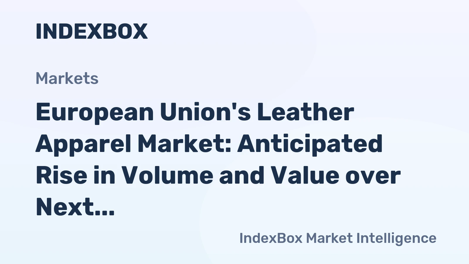 European Union's Leather Apparel Market: Anticipated Rise in Volume and Value over Next Decade