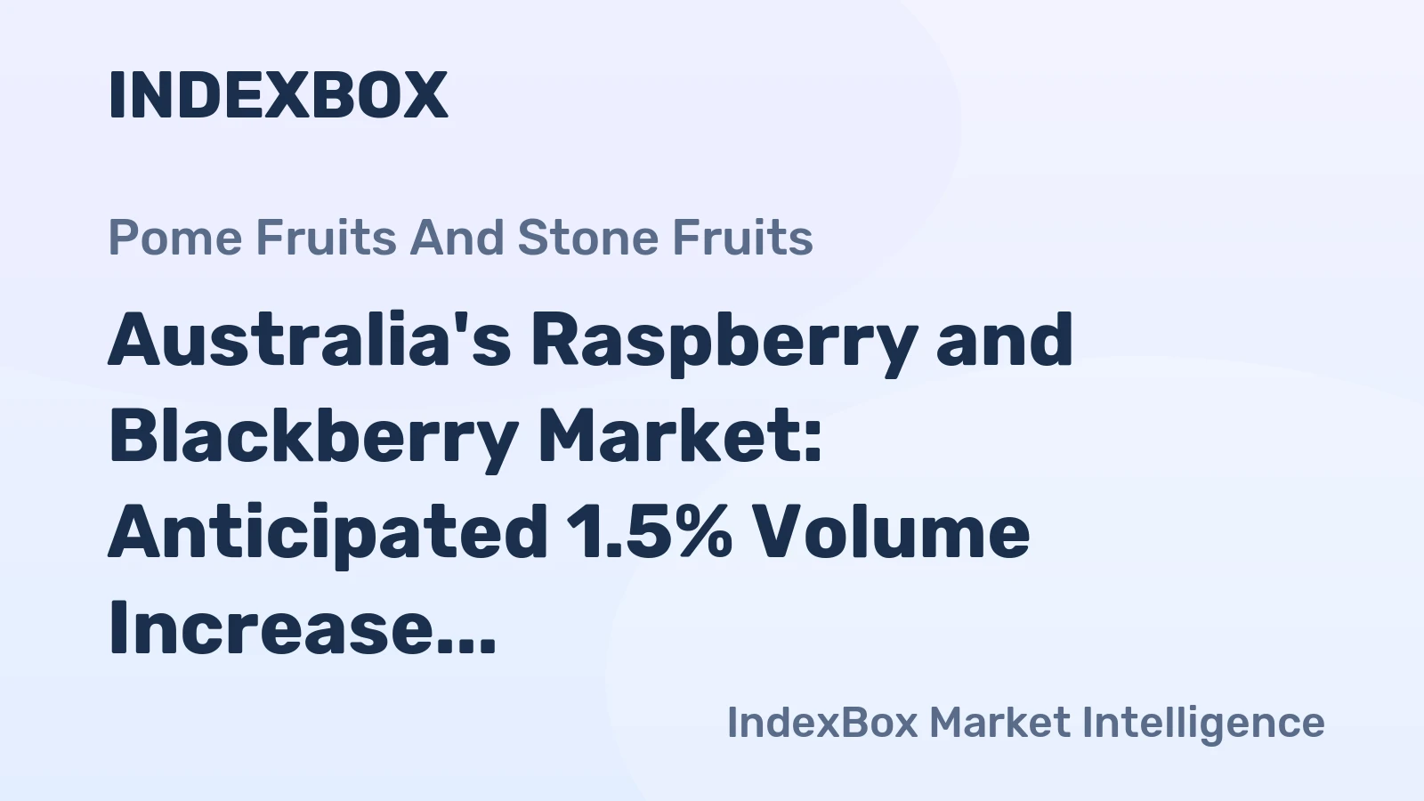 Australia's Raspberry and Blackberry Market: Anticipated 1.5% Volume Increase to 1.6 tons and 1.6% Value Increase to $16K by 2035