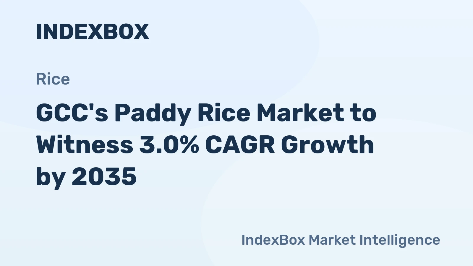 GCC's Paddy Rice Market to Witness 3.0% CAGR Growth by 2035
