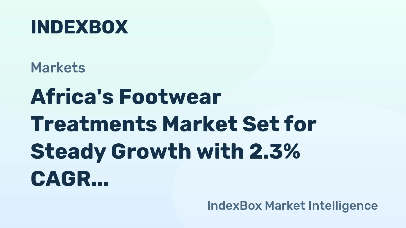 Africa's Footwear Treatments Market Set for Steady Growth with 2.3% CAGR in Value