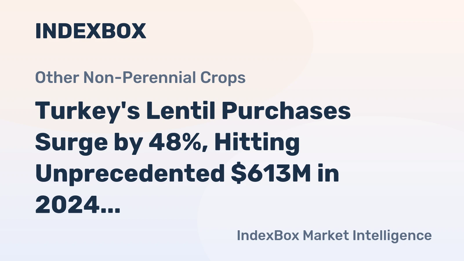Turkey's Lentil Purchases Surge by 48%, Hitting Unprecedented $613M in 2024