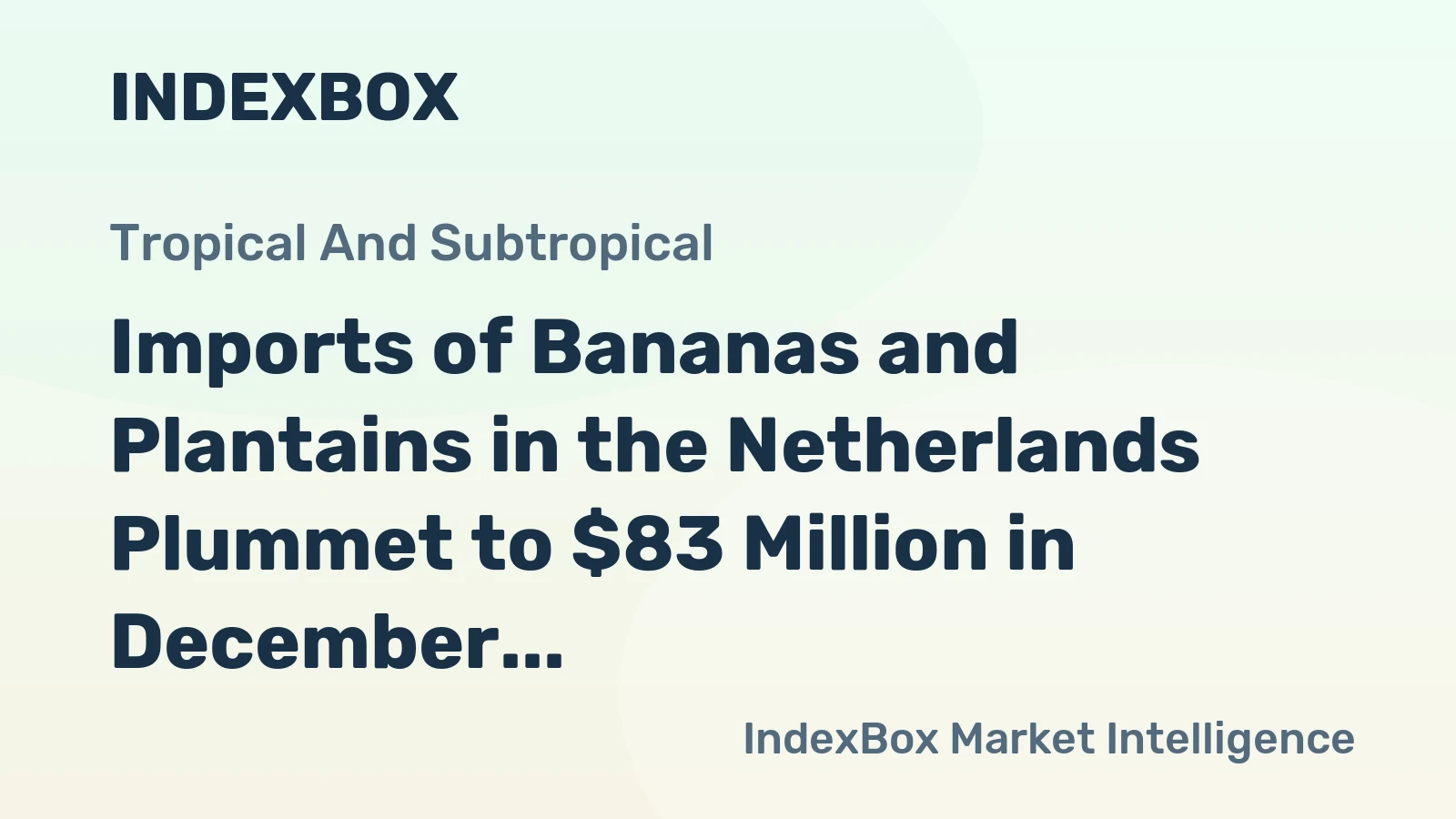 Imports of Bananas and Plantains in the Netherlands Plummet to $83 Million in December 2023